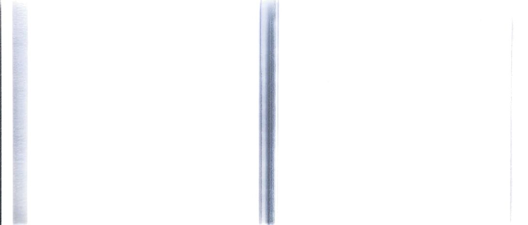 PVC Cladding – Greta Grove